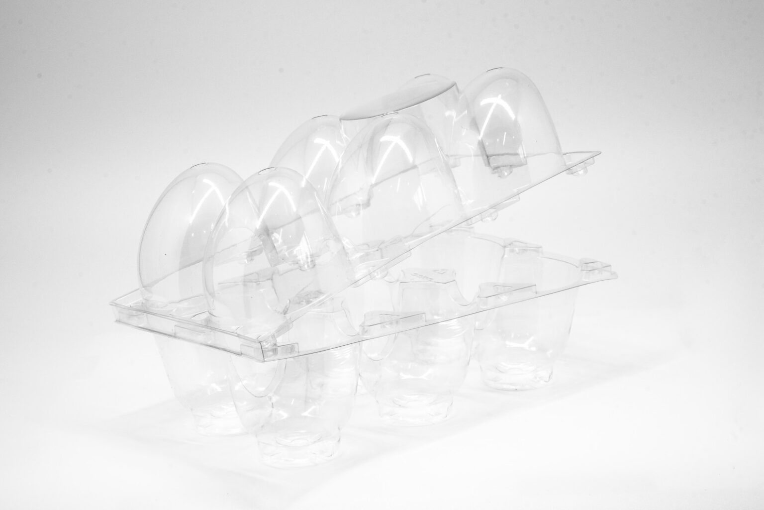 6 Ct Mango Clamshell - Royal Interpack