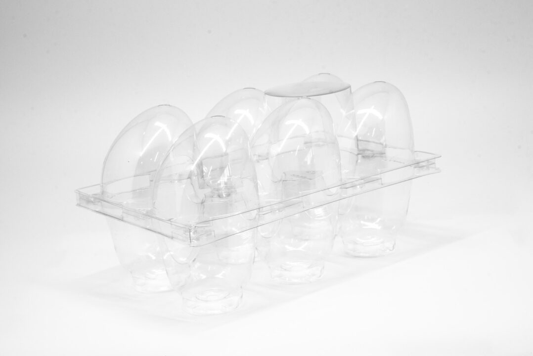 6 Ct Mango Clamshell - Royal Interpack