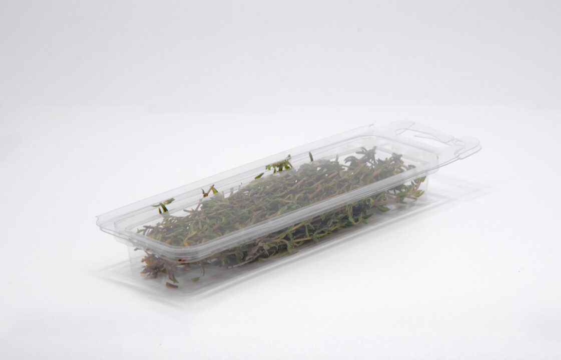 1/4 oz. Herb Clamshell w/out hanger - Royal Interpack
