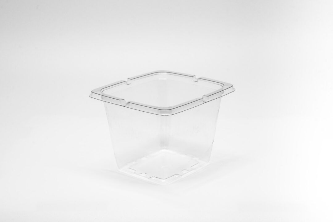 2 lb. Kiwi Clamshell - Royal Interpack