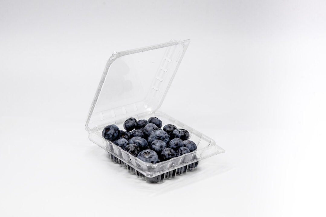6 oz. Blueberry Clamshell - Royal Interpack