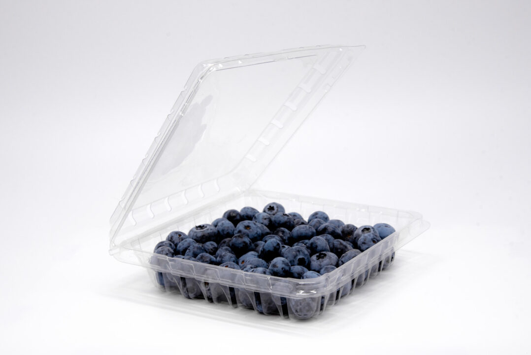 18oz Blueberry Clamshell (RPH7172) - Royal Interpack