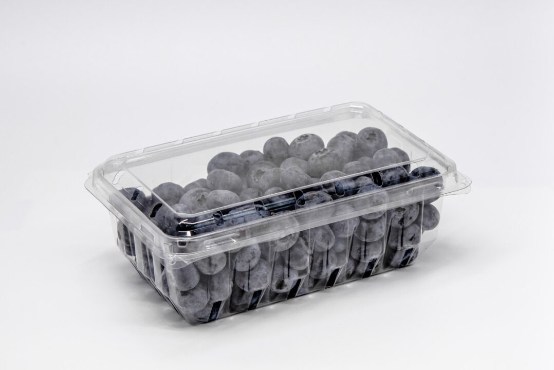 18oz Blueberry Clamshell - Royal Interpack