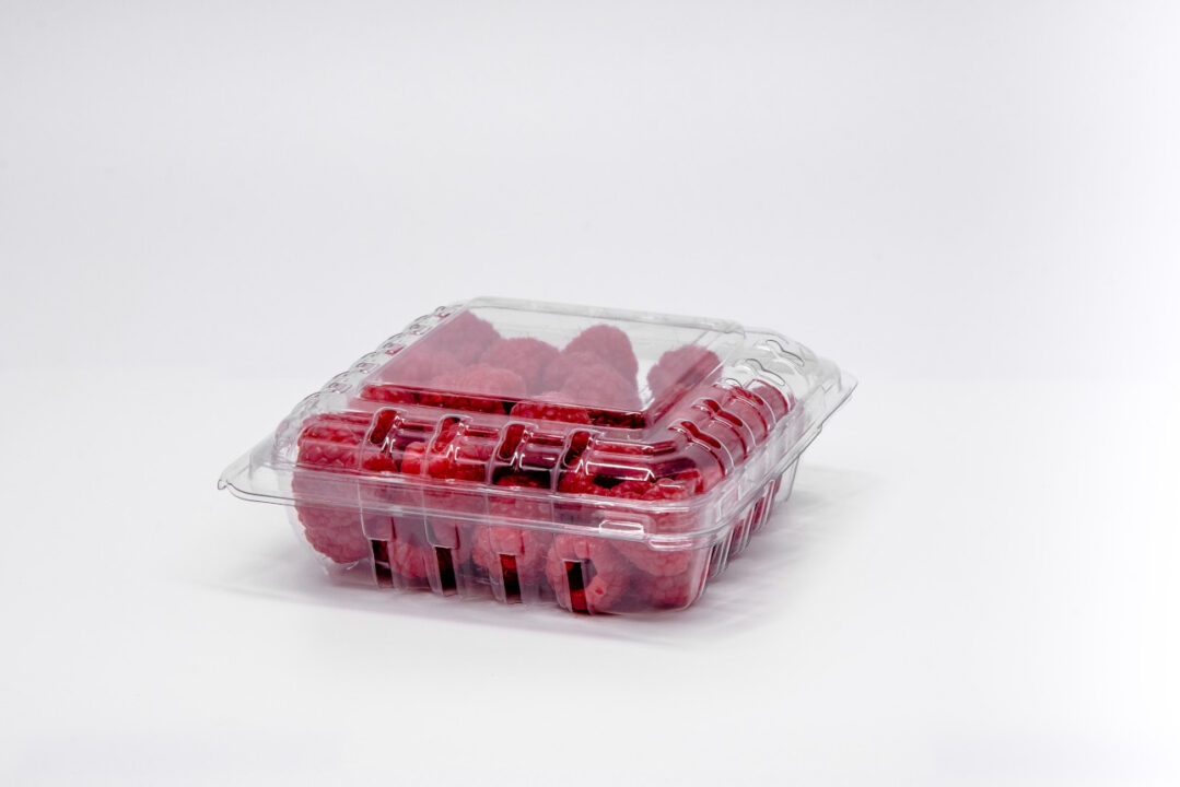 6 oz. Blackberry/Rasberry Clamshell - Royal Interpack