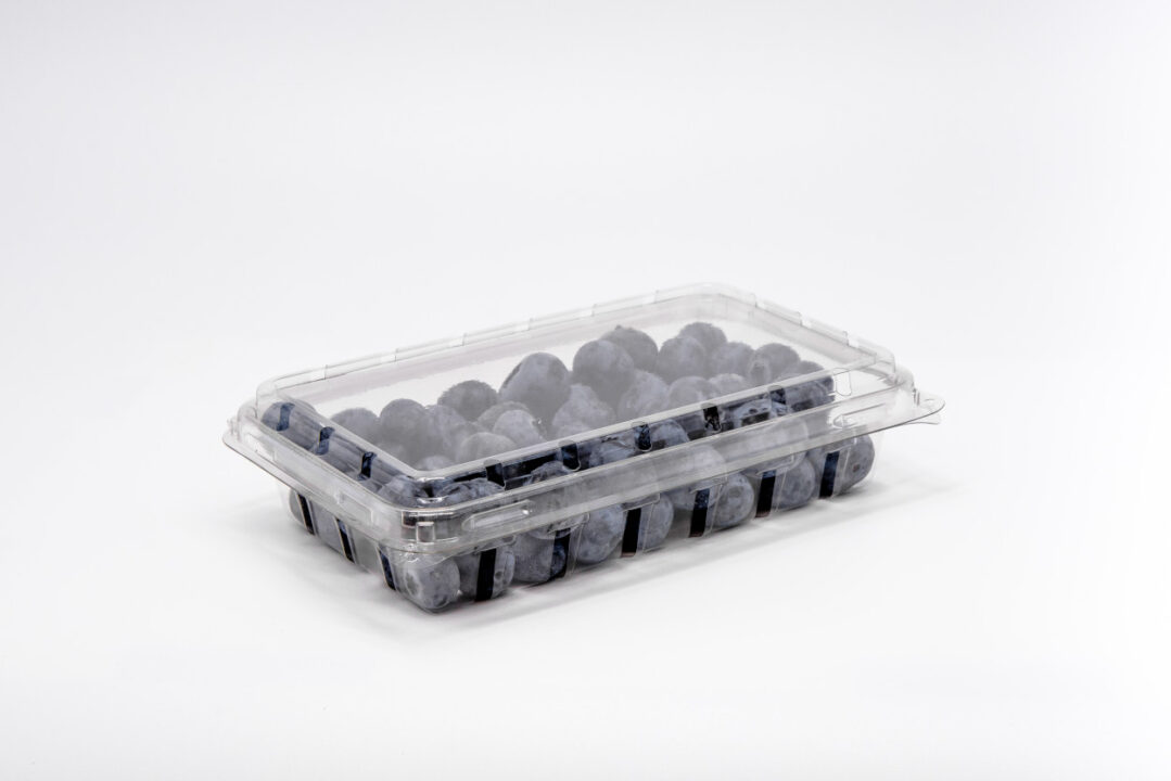 11 oz. Blueberry Clamshell - Royal Interpack