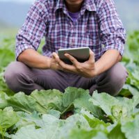 Royal Interpack - Your Eco-Friendly PET Food Product Experts